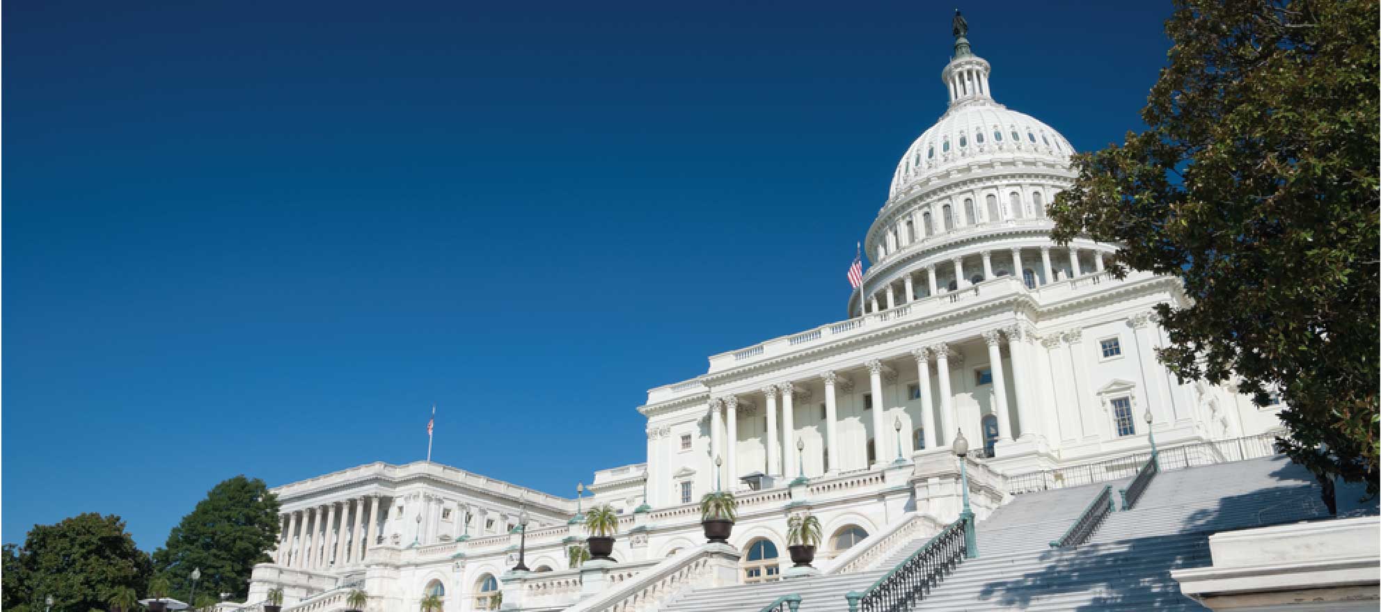 Read The Senate Letter Requesting Probe Into Real Estate Competition ...