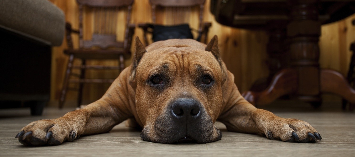 The 5 Funniest Real Estate Memes Of The Week | Inman Real Estate News