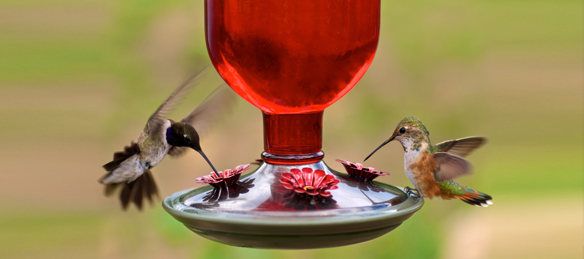 6 steps to attracting prospects with LinkedIn | Inman Real Estate News