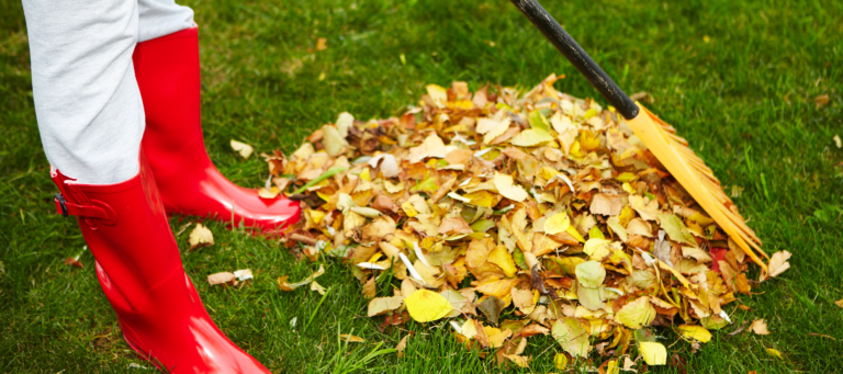 How to rake in the Facebook leads as a complete beginner | Inman Real ...