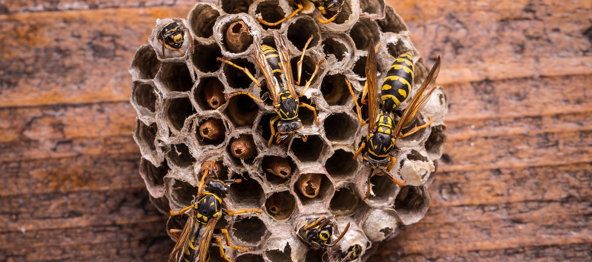 4 types of buzz-building content for real estate | Inman Real Estate News