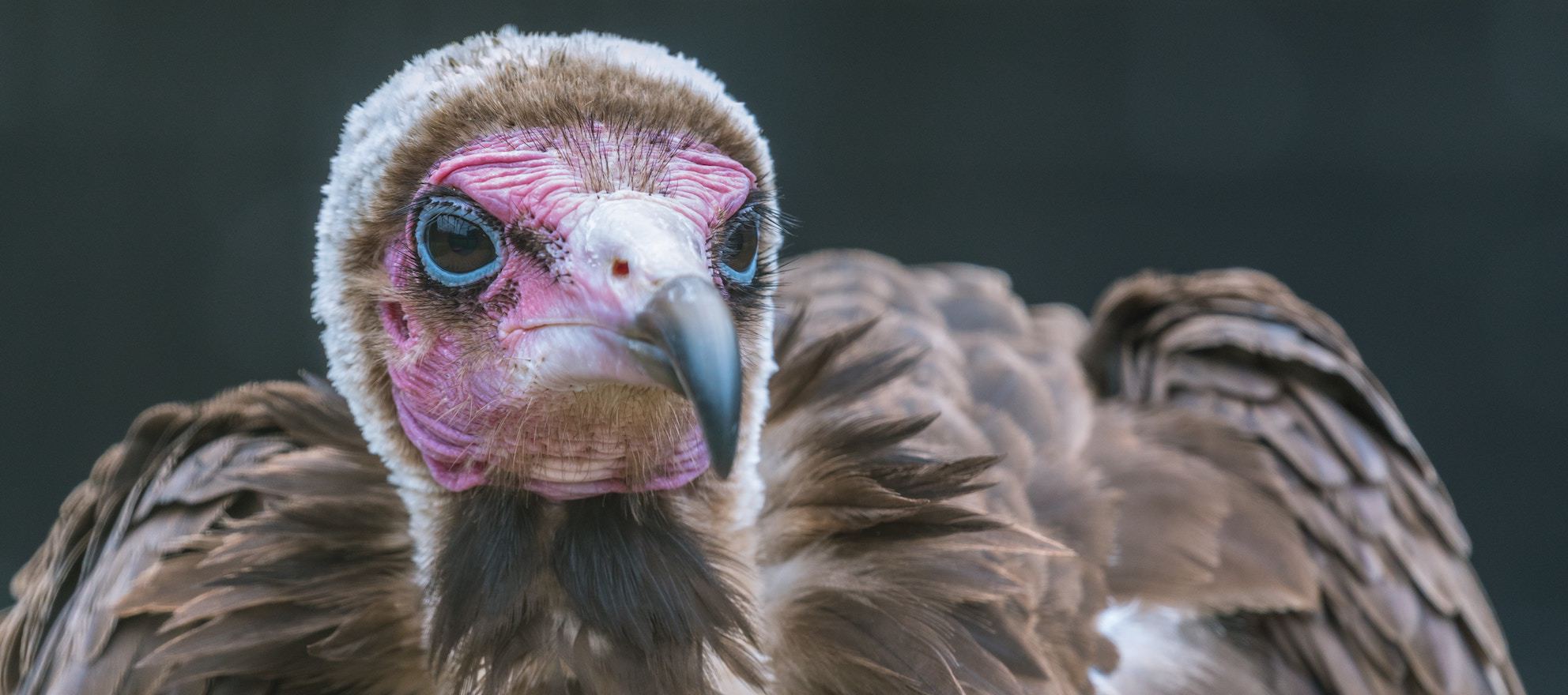 This Is What Bad Real Estate Marketing Looks Like | Inman Real Estate News