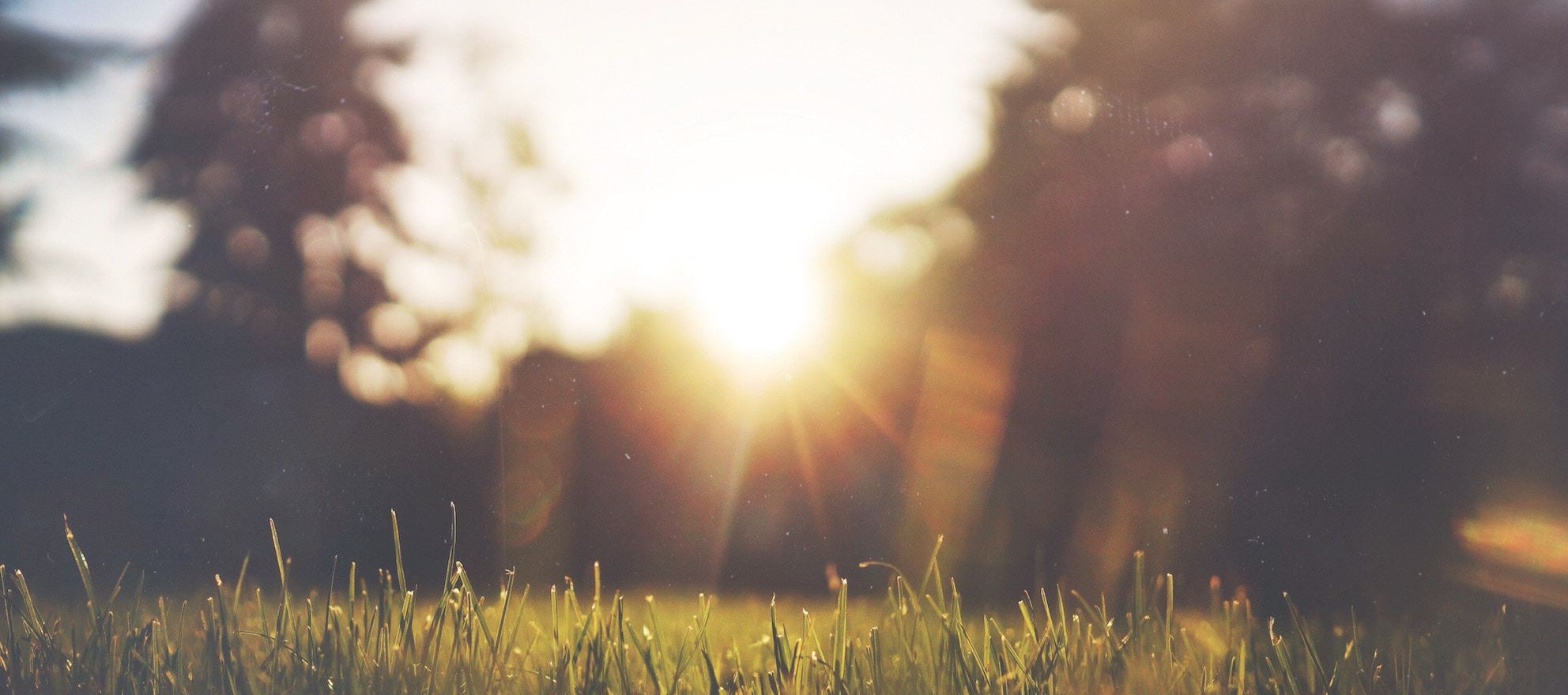 6 Things Blurry Vision Taught Me To See More Clearly | Inman Real ...