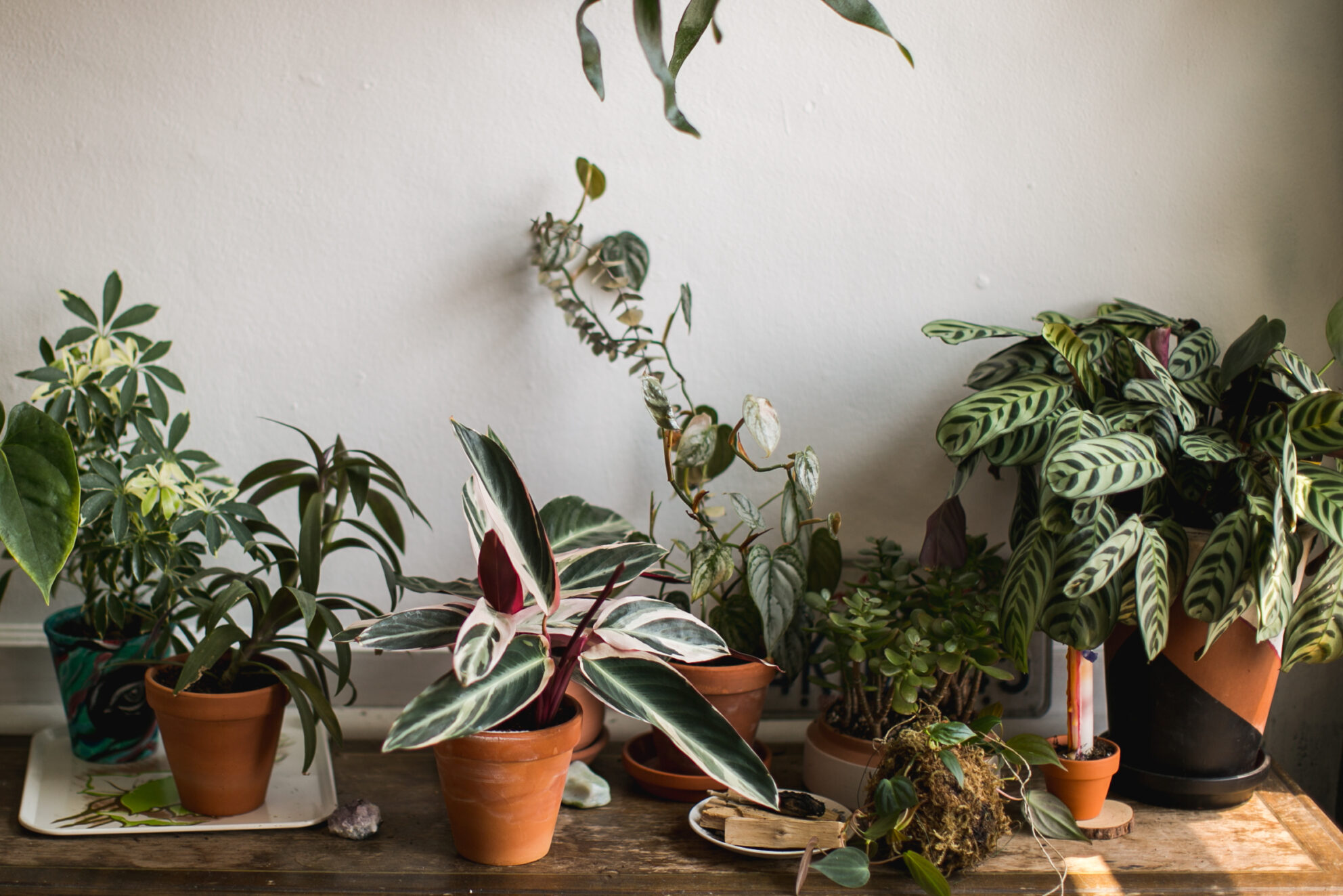You’ll Fall In Love With These 5 Home Design Trends For Autumn | Inman ...