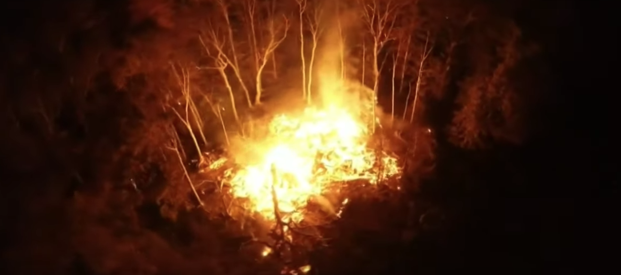 Once Called World's Largest, Tennessee Treehouse Burns To The Ground ...