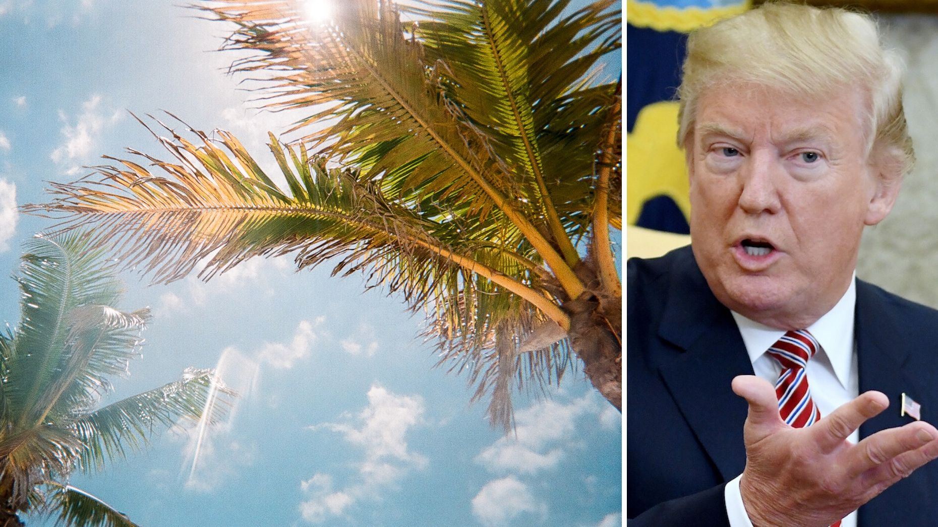 Vanilla Ice, Briny Breezes And An Agent’s Bid To Build Donald Trump’s ...