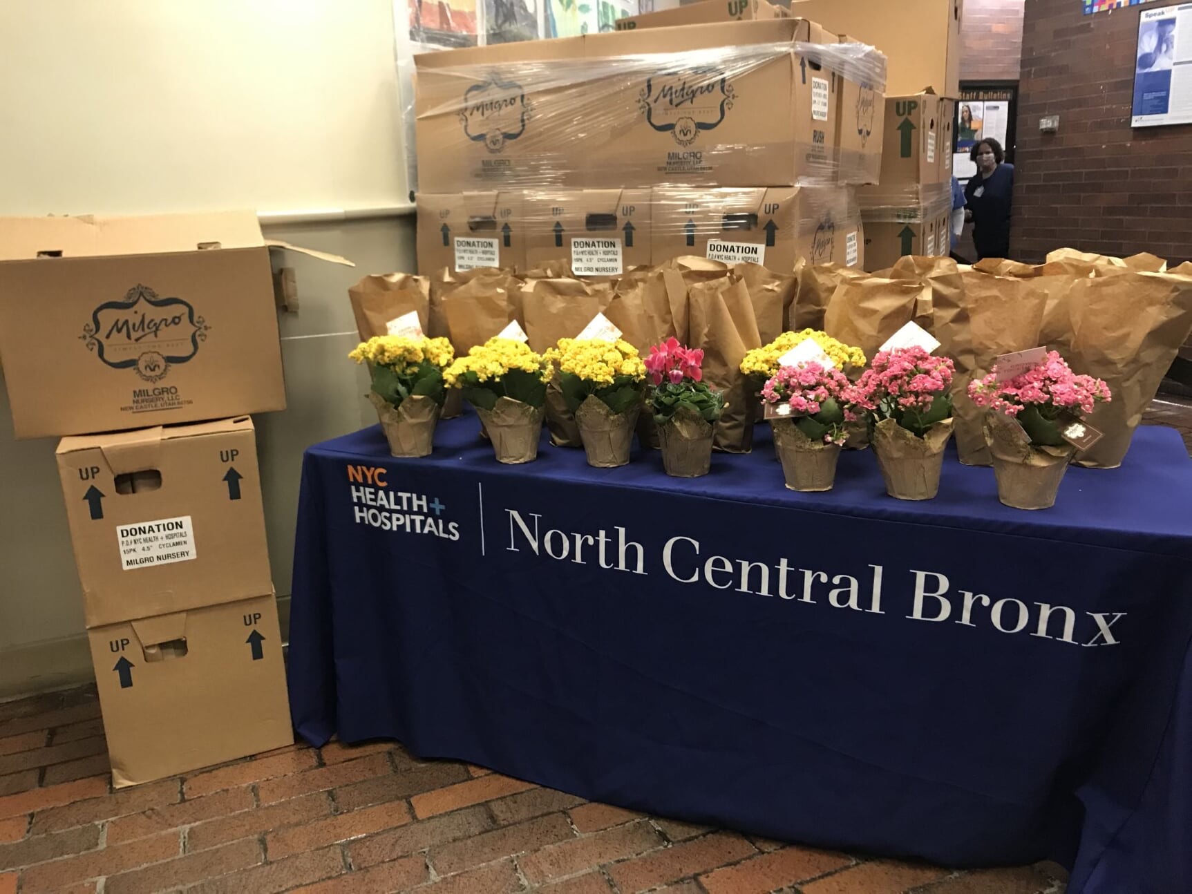 Honoring Inman’s 2020 Innovators — Acts of Courage & Service - Inman