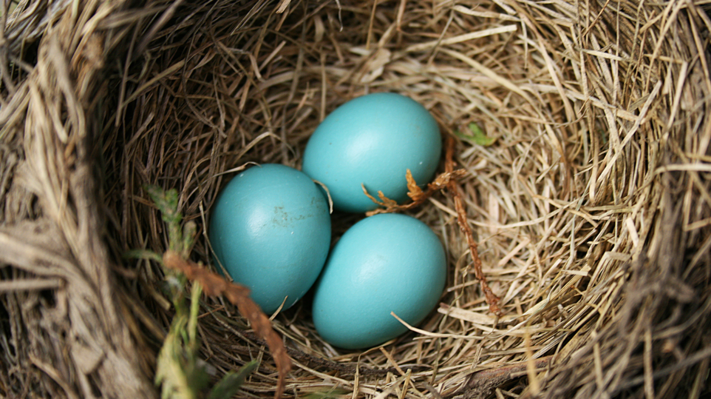 Rental Management Platform NestEgg Raises $7M In Series A Funding - Inman