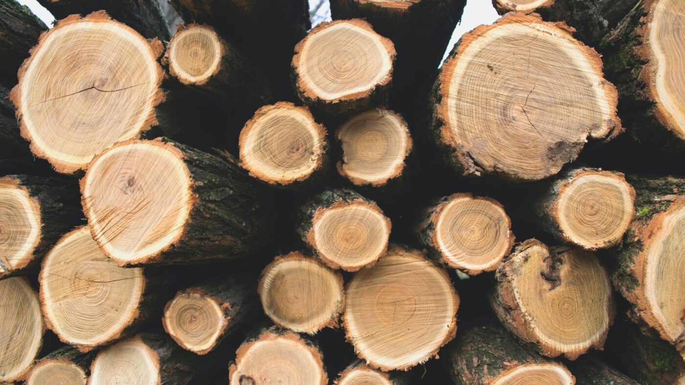 Timber May Soon Follow Lumber In Upward Price Trend | Inman Real Estate ...