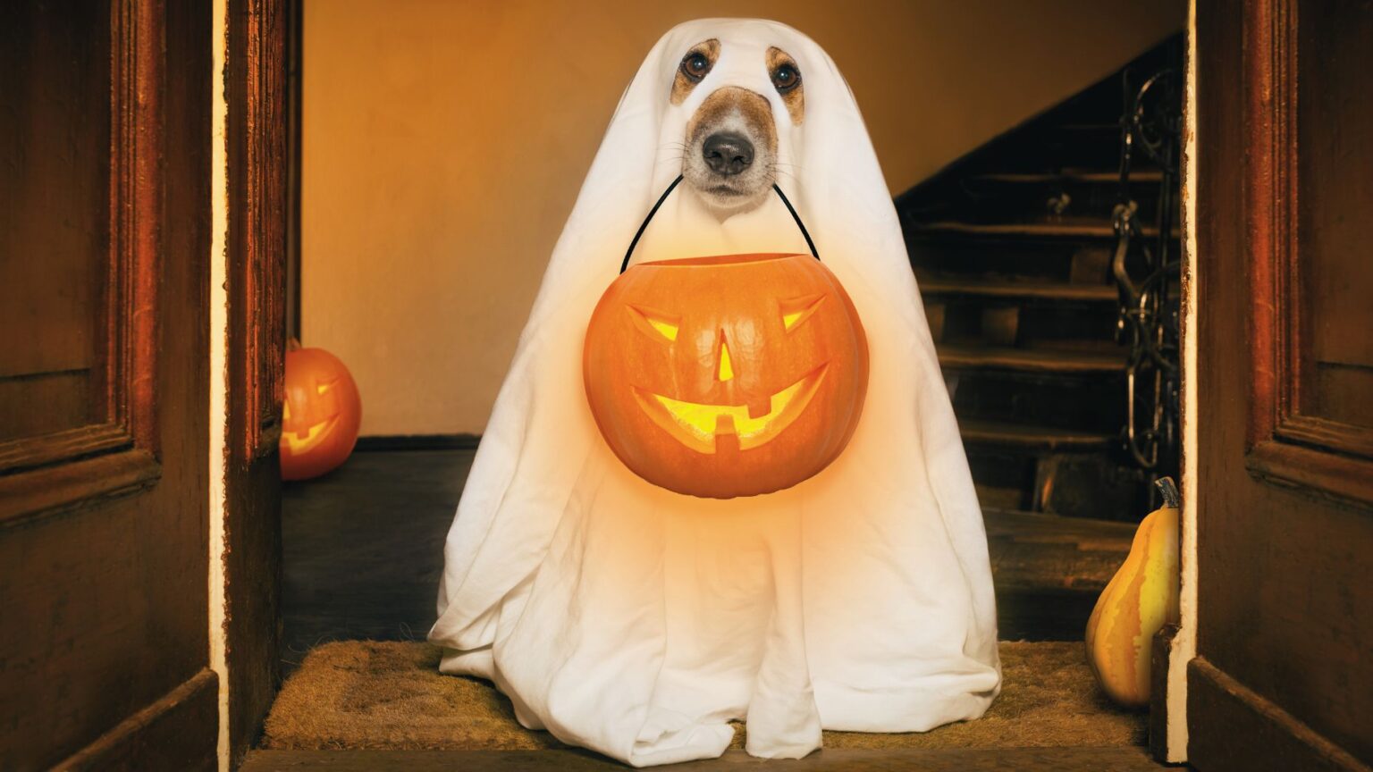 Halloween Real Estate Marketing Ideas: 27 Spooky Ways To Stand Out - Inman