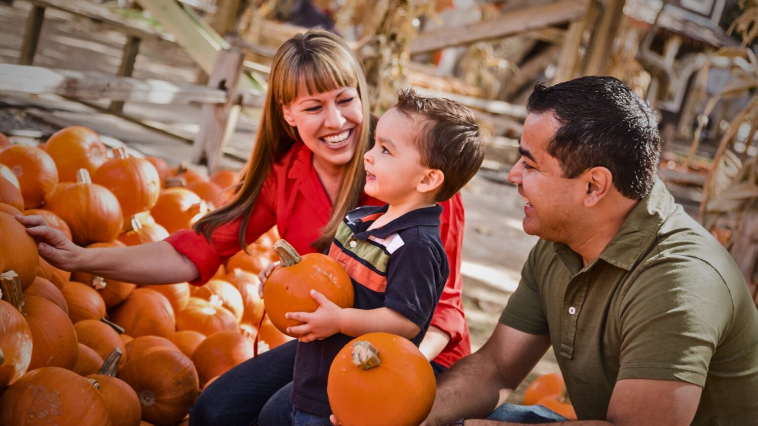 Fall real estate event ideas on a budget: 10 ways to thank your clients ...