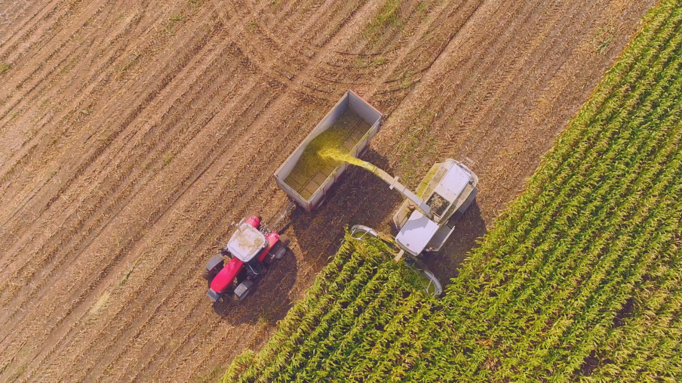 Looking For Listings? How To Build A Real Estate Farm Step-By-Step ...