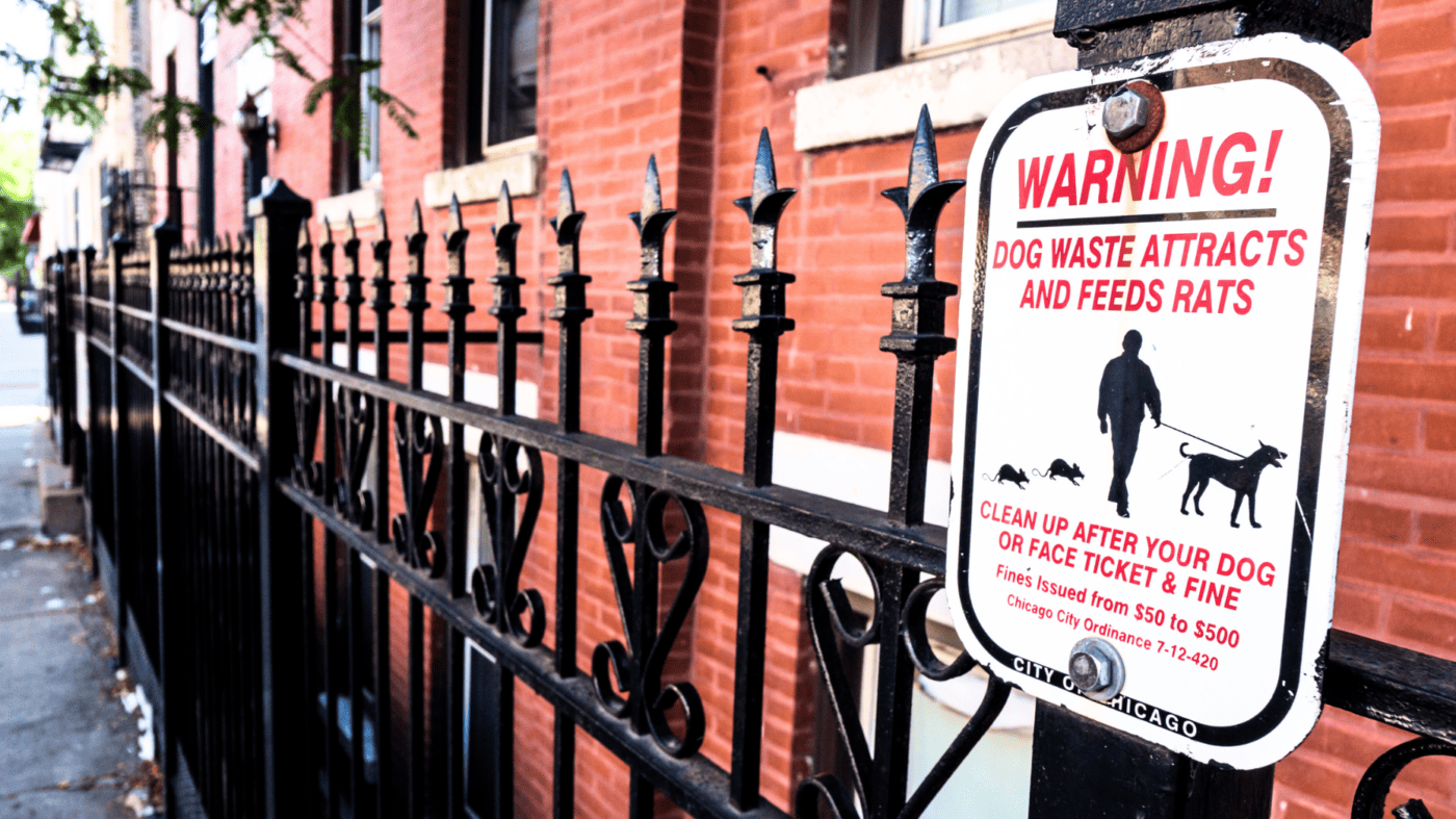 Chicago Property Owner Amasses $15 million In Rat-Related Fines | Inman ...